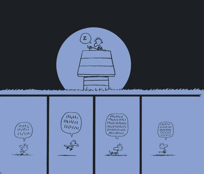 Snoopy et les Peanuts - intégrale T16 (1981-1982): Intégrales et ...