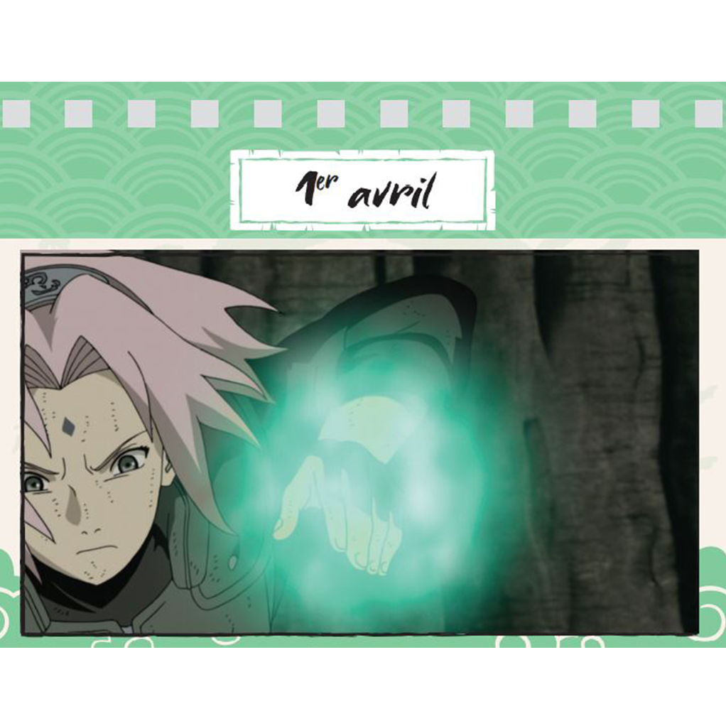 Une année 100% Naruto Shippuden: Livres Manga par Masashi Kishimoto ...